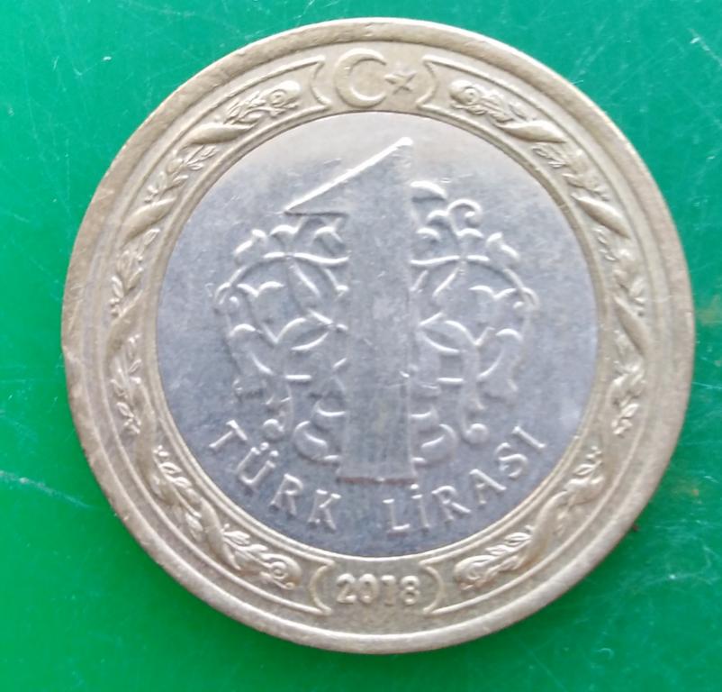 1 лира 2018 год.