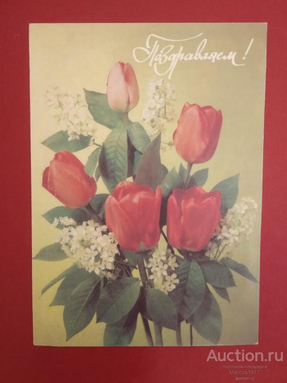 Открытка чистая "Поздравляем". СССР — покупайте на Auction.ru по выгодной цене. Лот из Ханты ...