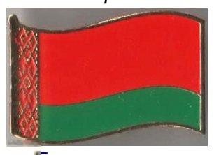 Серия значков флаги стран Мира - значок флаг Беларусь — покупайте на ...