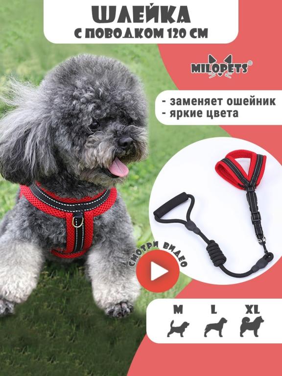 Шлейка, поводок для собак мелких и средних пород, кошек, заменяет ...