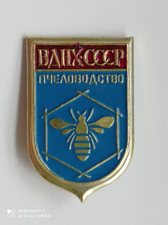 Значок ВДНХ СССР Пчеловодство — покупайте на Auction.ru по выгодной ...