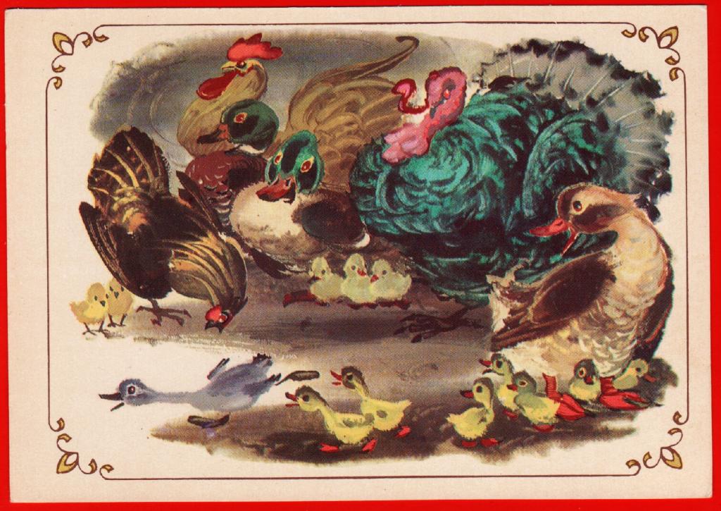 07446 Каневский утята утка индюк петух курица Птичий двор домашняя ...