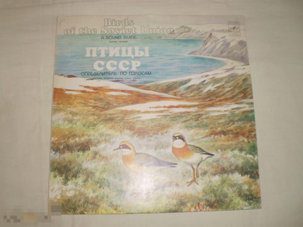 Птицы СССР – Гагары. Кулики: Pжaнки, Зyйки, Чибиcы - LP - RU — покупайте на Auction.ru по ...