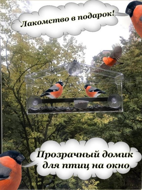ПРОЗРАЧНЫЙ СКВОРЕЧНИК КОРМУШКА ЭКО ДОМИК ОКОННЫЙ ДЛЯ ДИКИХ ПТИЦ ВОРОБЬИ ...