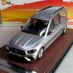 MERCEDES-BENZ E-Class Wilcox Mild Petrol Hybrid Hearse катафалк 2022 Silve GLM Matrix 1:43 ...