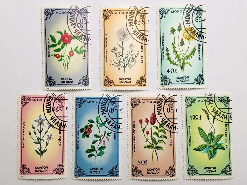 Растения. Цветы. Неполная серия. Флора. Монголия. 1985. Mi: MN 1712-1718. Гашен — покупайте на ...