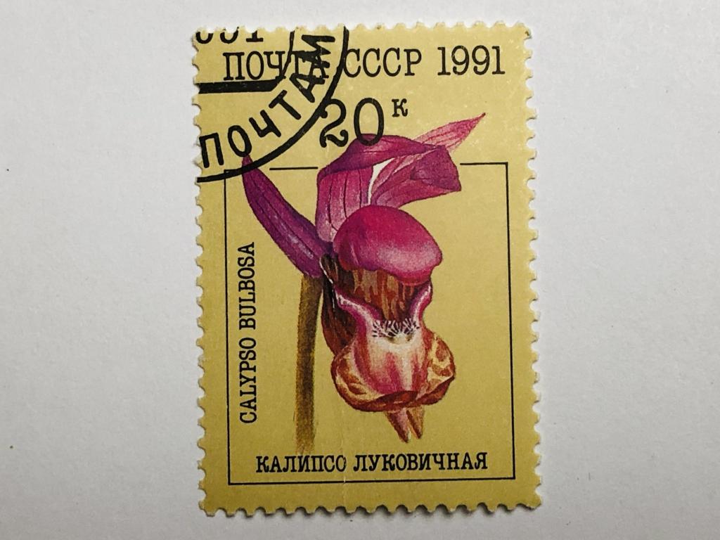 Цветы. Орхидеи. Калипсо луковичная. 20 коп. Флора. СССР. 1991. Mi: SU ...