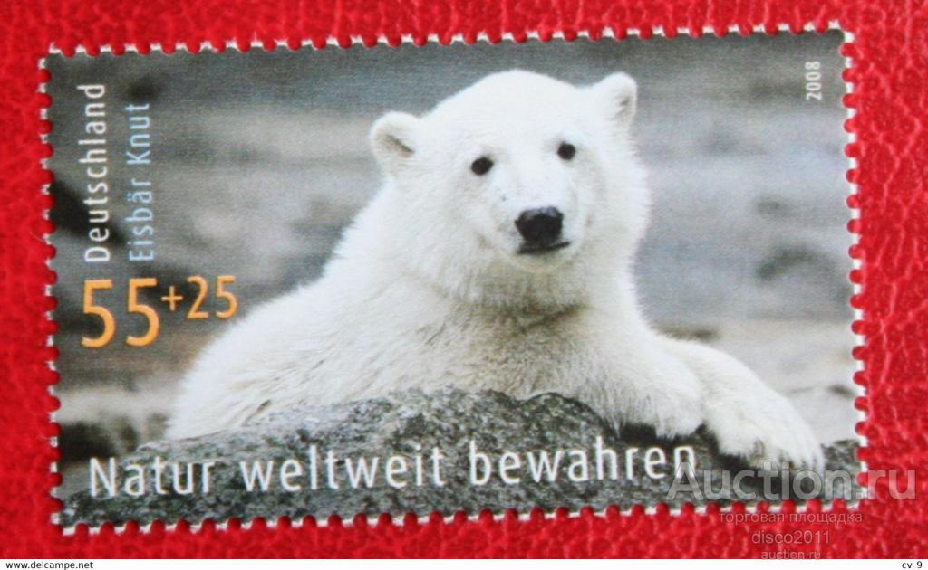 Германия 2008 Белый медведь. Медвежонок Кнут Knut. Берлинский зоопарк ...