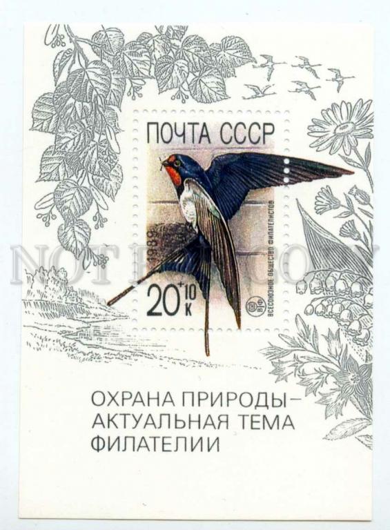 501136 СССР 1989 год блок птицы Защита Природы — покупайте на Auction ...